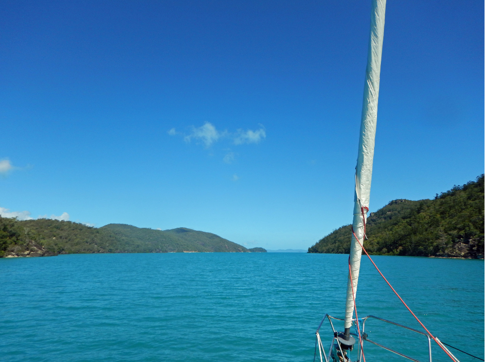 Hook Island Guide | What to Do & How to Get There | Wings