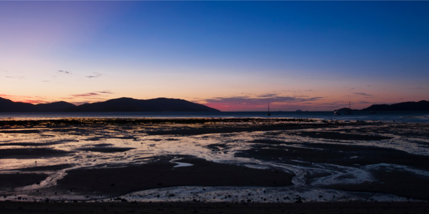 Long Island Guide | What to Do & How to Get There | Wings