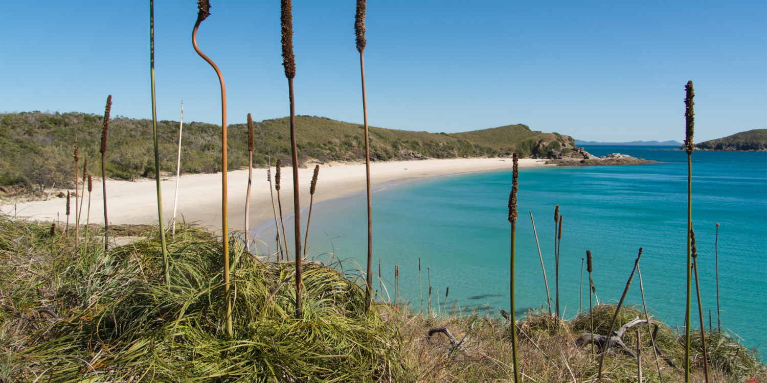 9 of the Best Islands in Queensland | Wings